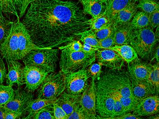 biomedical imaging unit