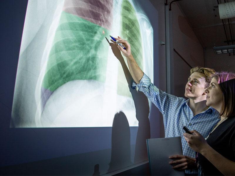 Medicine | University of Southampton