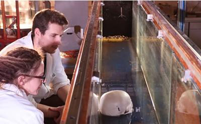 crossrail-skulls-mystery | University of Southampton