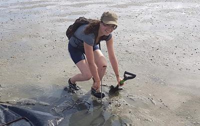 Undergraduate Student undertakes 3 month research trip to New Zealand ...