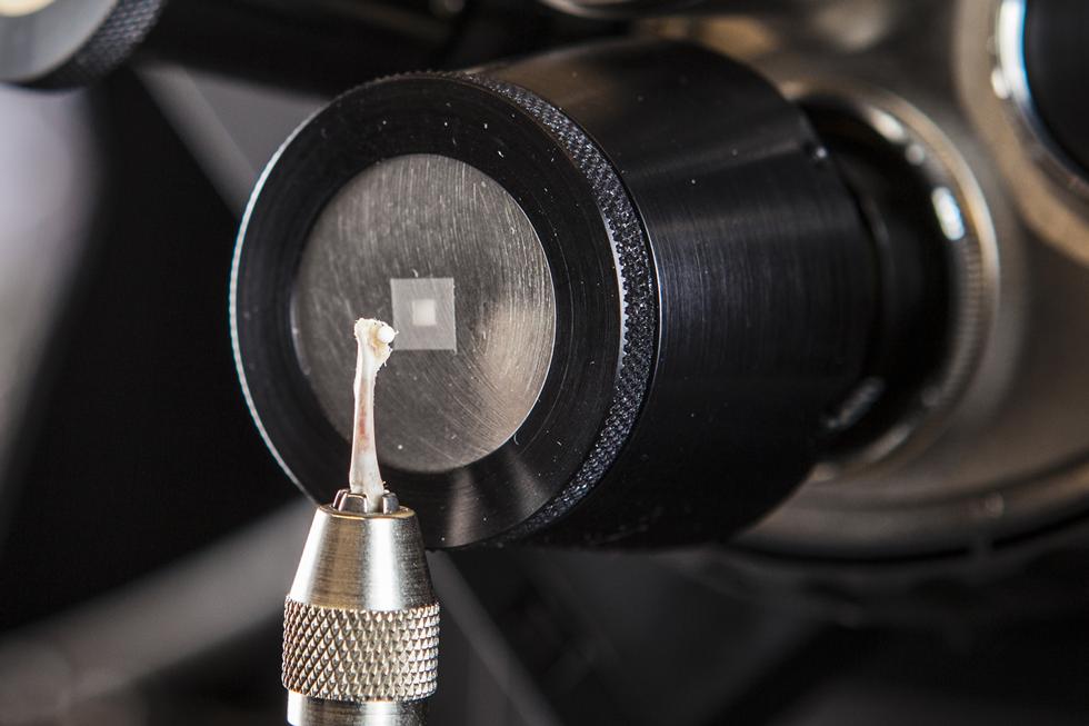 Zeiss 160 kVp Versa 510 | µ-VIS: Multidisciplinary, Multiscale ...