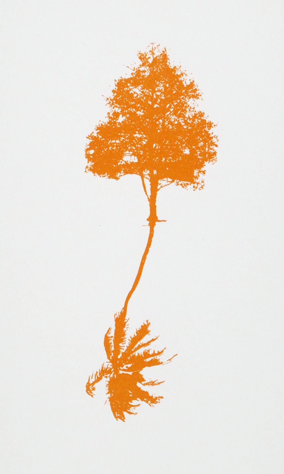 Winnall Moors Print Edition | Winchester School of Art | University of ...