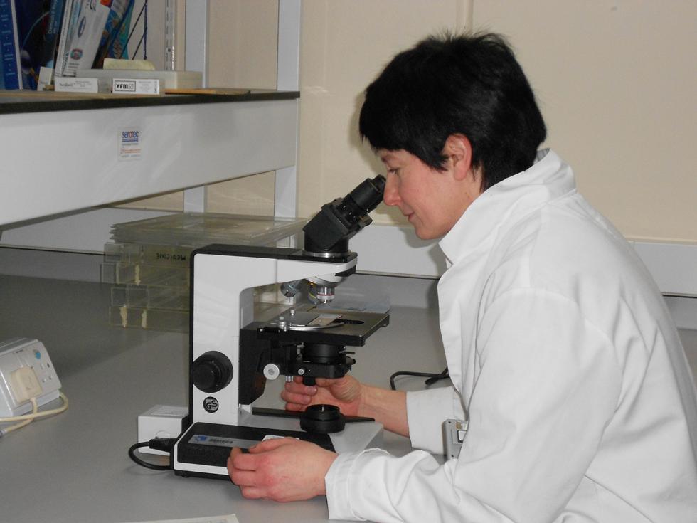 Microscopes | Histochemistry Research Unit | University of Southampton