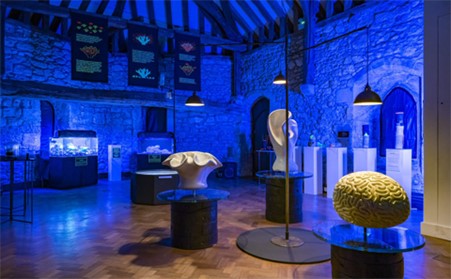 BLEACHED. An immersive exhibition where coral science meets the arts ...