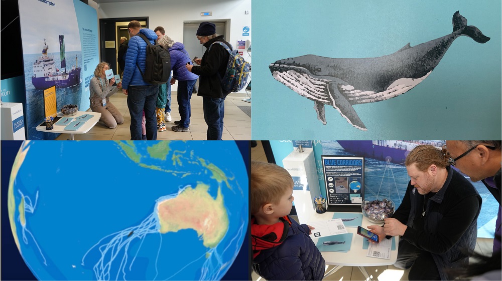 Winds, Whales, and Water: Marine and Maritime Highlights at SOTSEF 2025