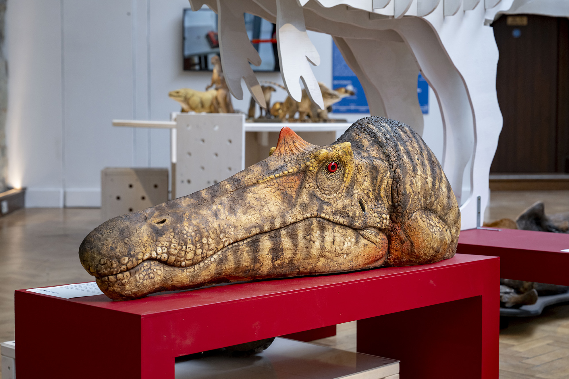 New exhibition to unearth 200 million years of history in the South