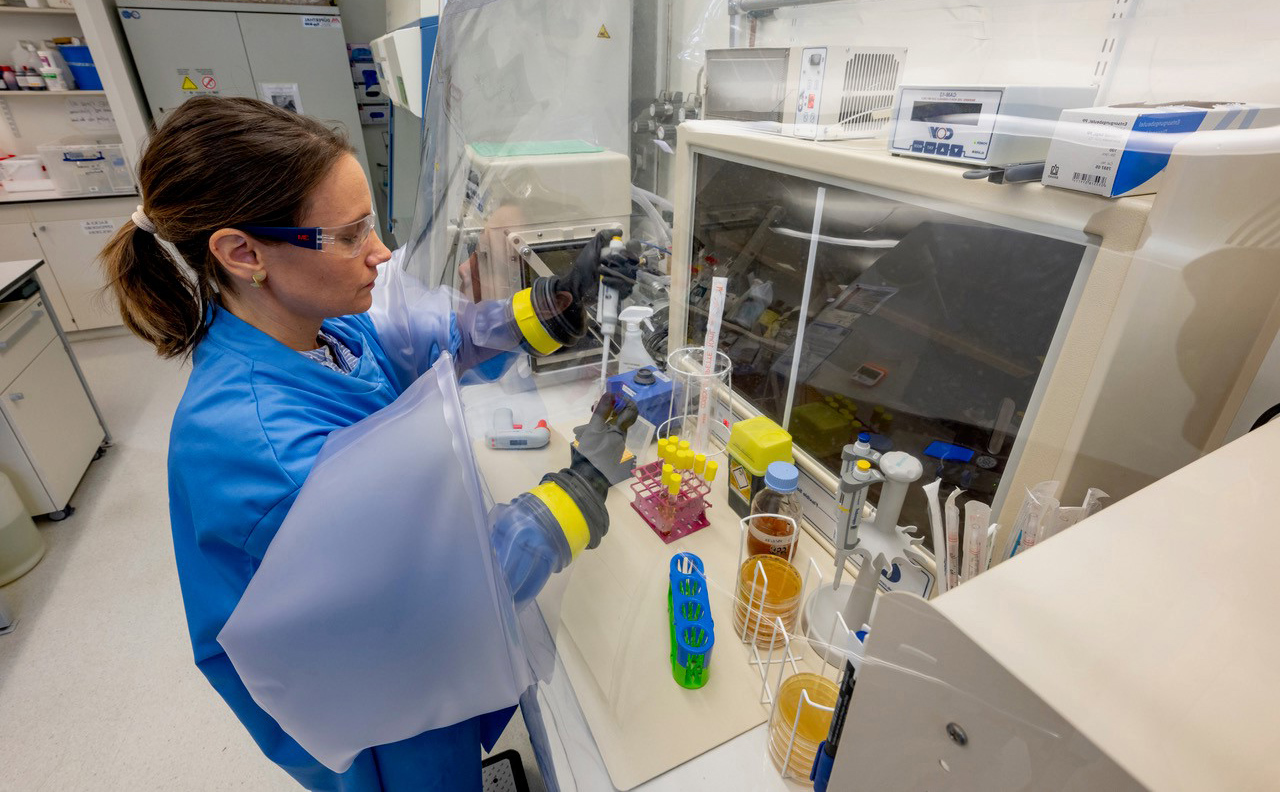 Study shows how Parkinson’s drug disrupts the gut microbiome