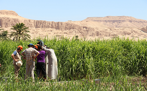 Crucial shift in River Nile’s evolution during ancient Egypt discovered