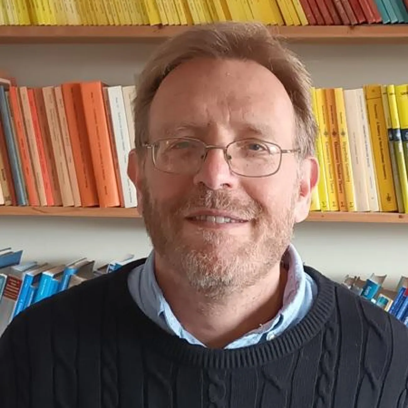 Professor Ian Leary | University of Southampton