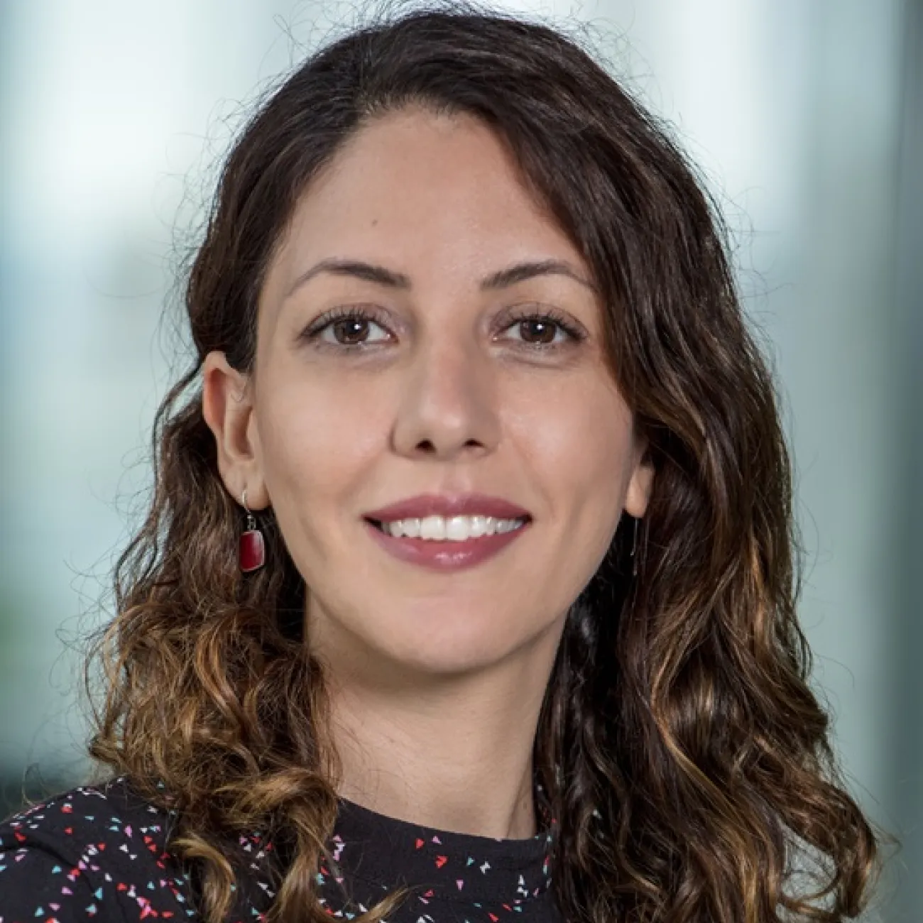 Doctor Atefeh Maghzi | University of Southampton