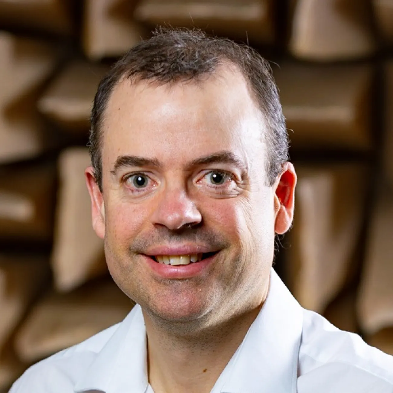 Professor Alan McAlpine | University of Southampton