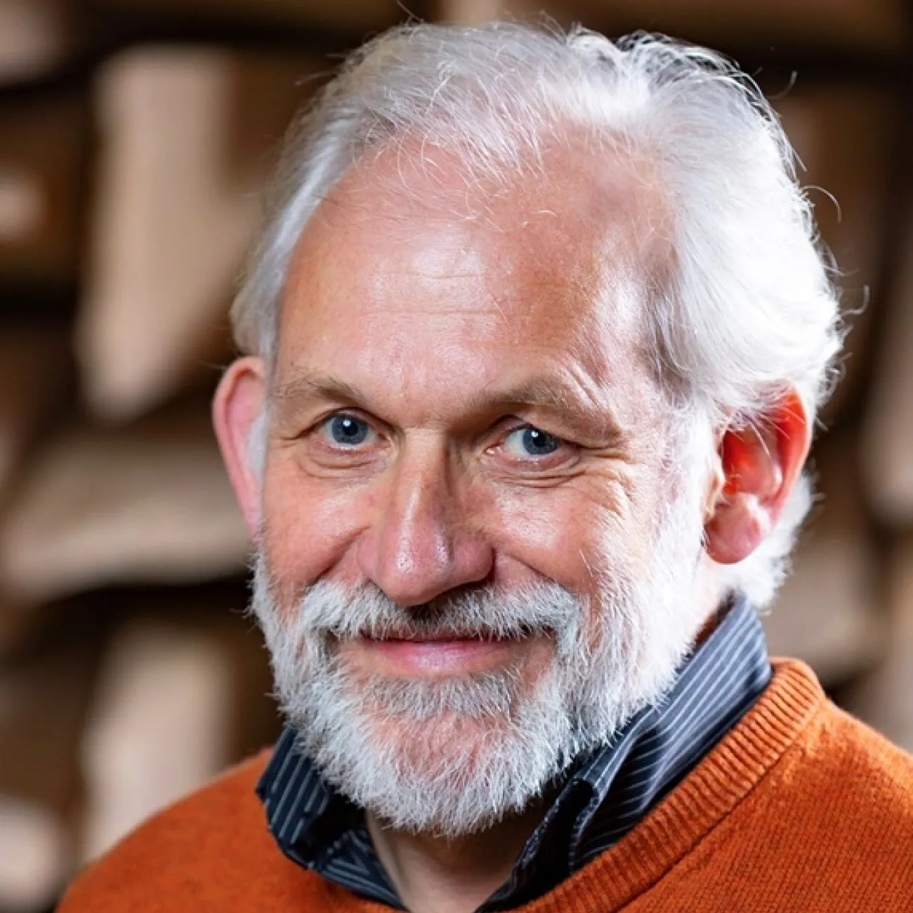 Professor David Simpson | University of Southampton