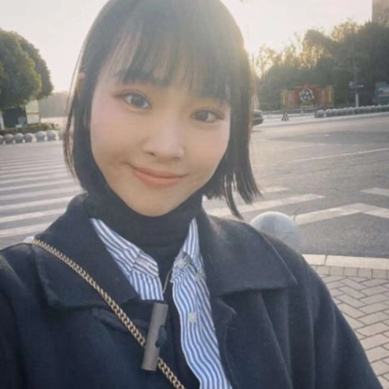 Miss Hongye Li | University of Southampton
