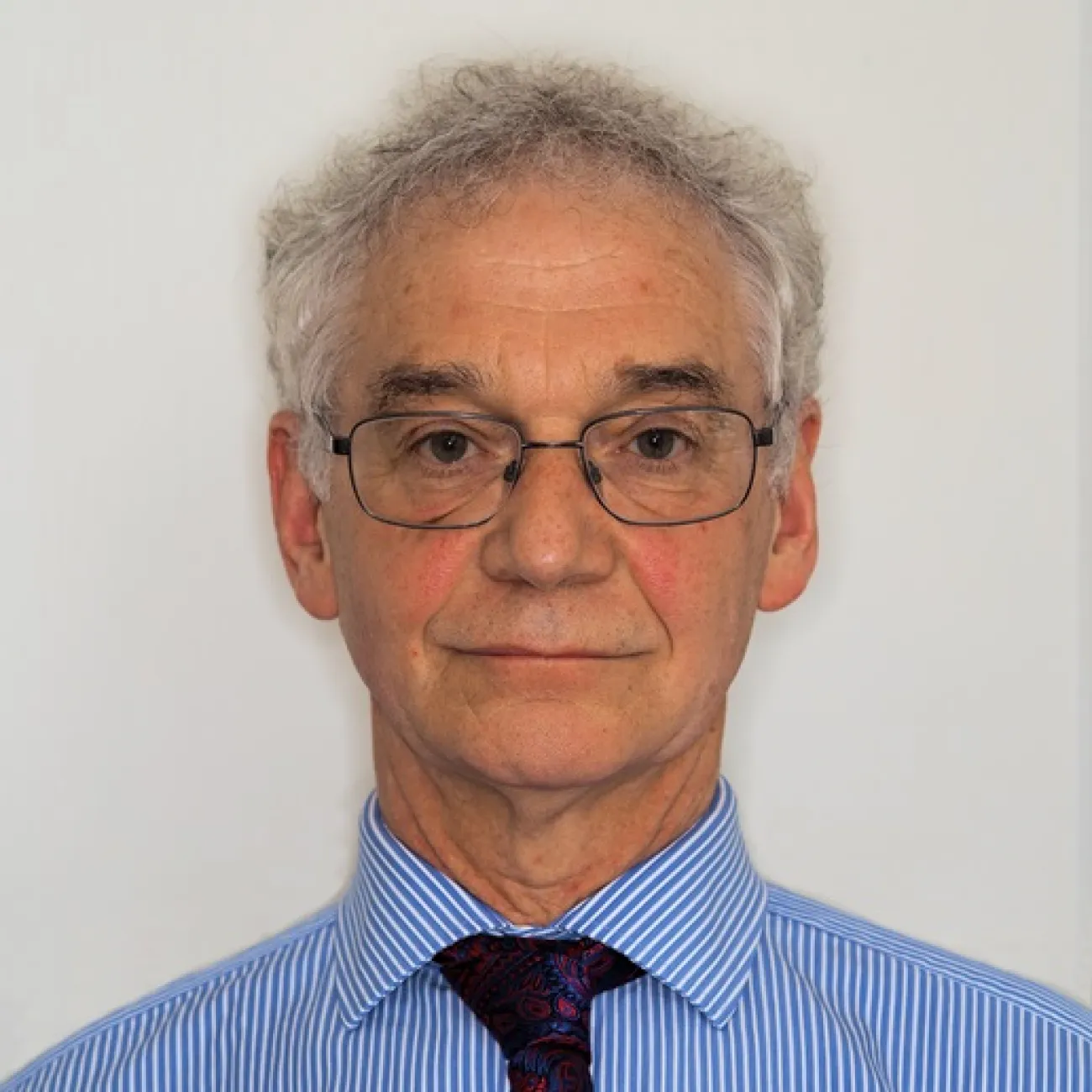 Emeritus Professor William Roche | University of Southampton