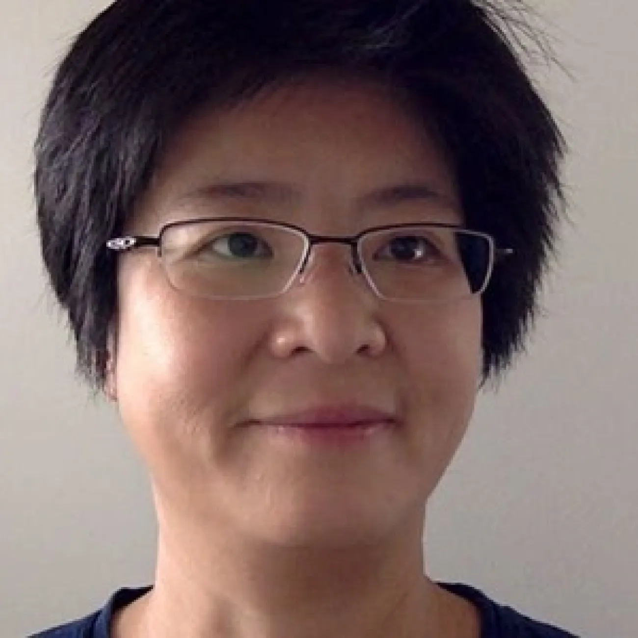 Professor Ying Cheong | University of Southampton